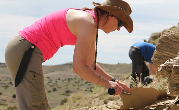 All Stories by Laura Poppick - The Atlantic