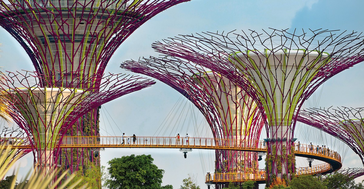 Supertrees - The Atlantic