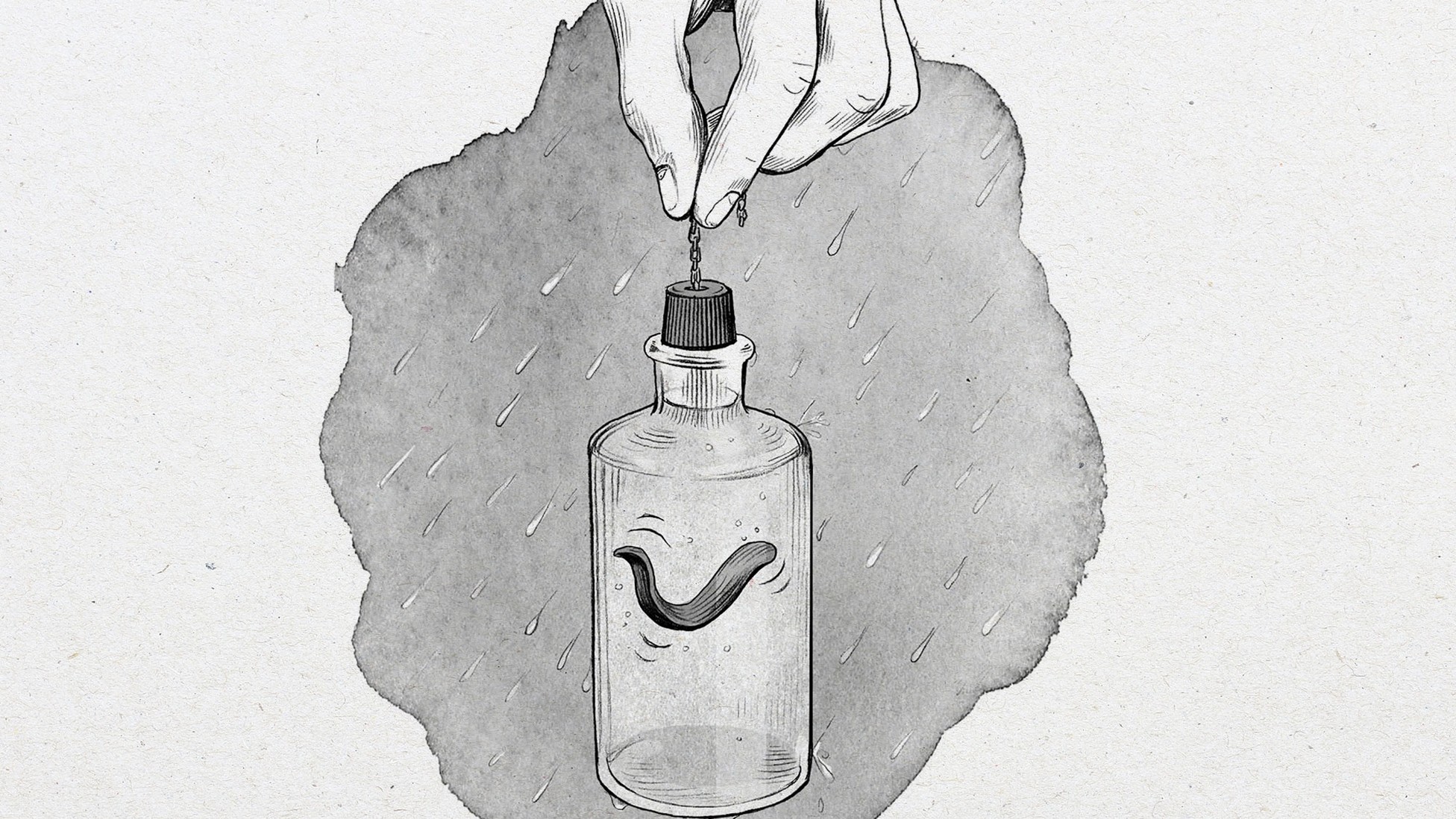 Experimenting With Leeches’ Ability to Forecast the Weather - The Atlantic