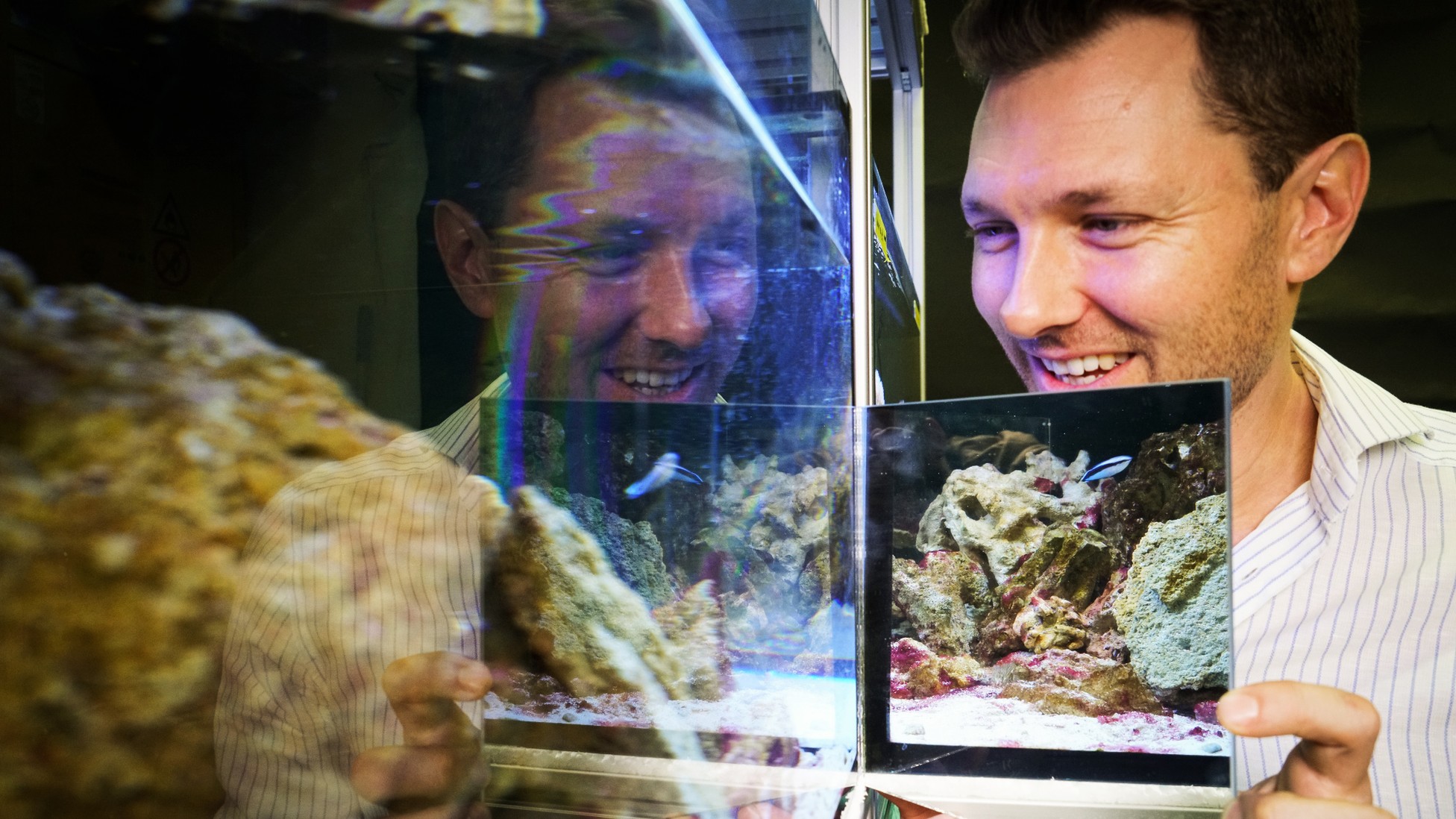 The Mirror Test of Self-Awareness Has a Fish Problem - The Atlantic