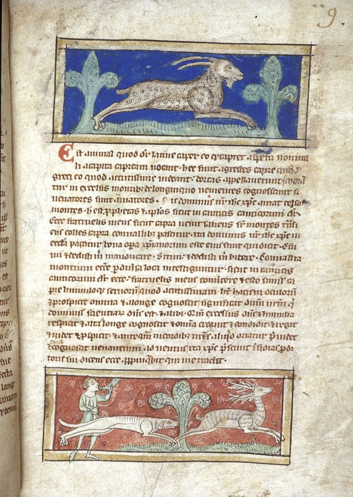 Hunting Among the Saints: What Justice Antonin Scalia’s association ...