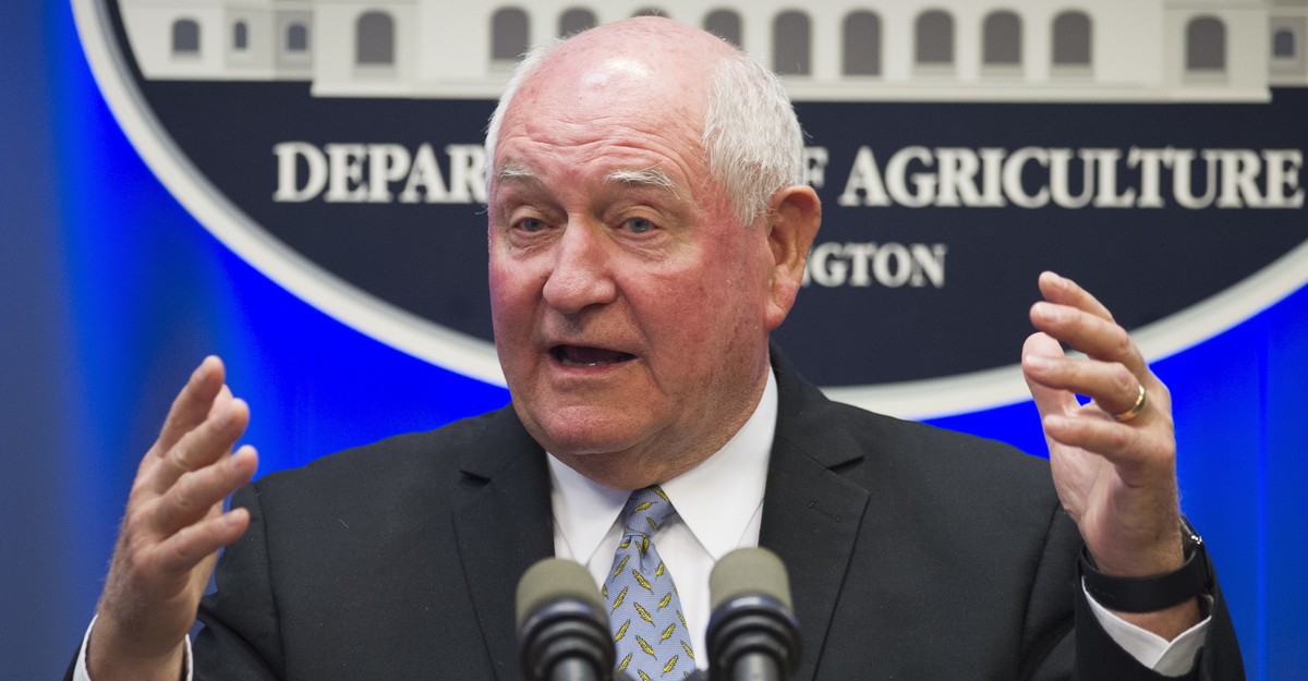 Trump Proposes New Work Requirements for Food Stamps - The Atlantic