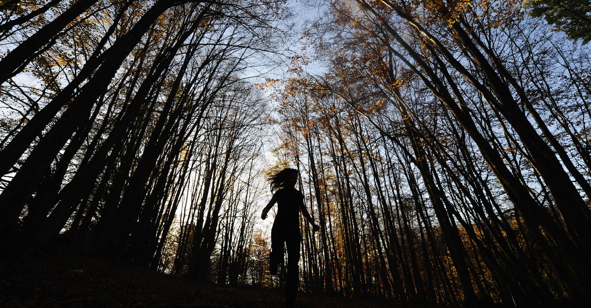 The Cognitive Benefits of Kindergarten in the Forest - The Atlantic