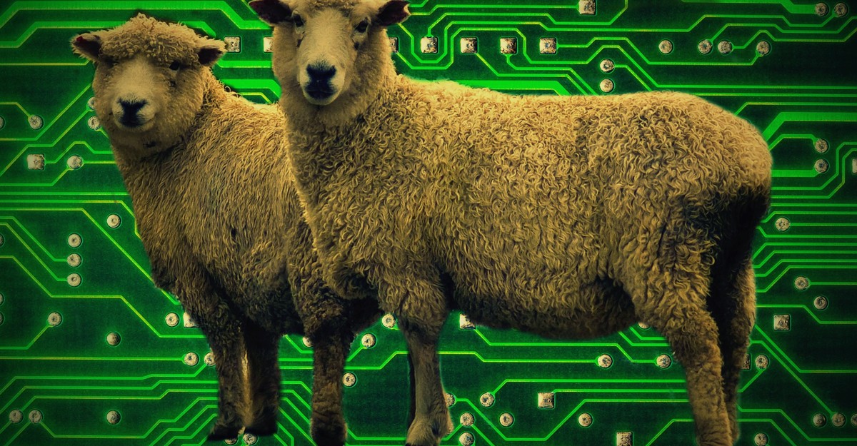 Internet-Connected Sheep and the New Roaming Wireless - The Atlantic