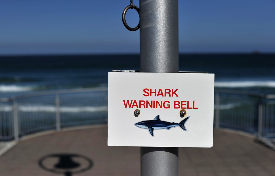 A Trip Around New Zealand - The Atlantic