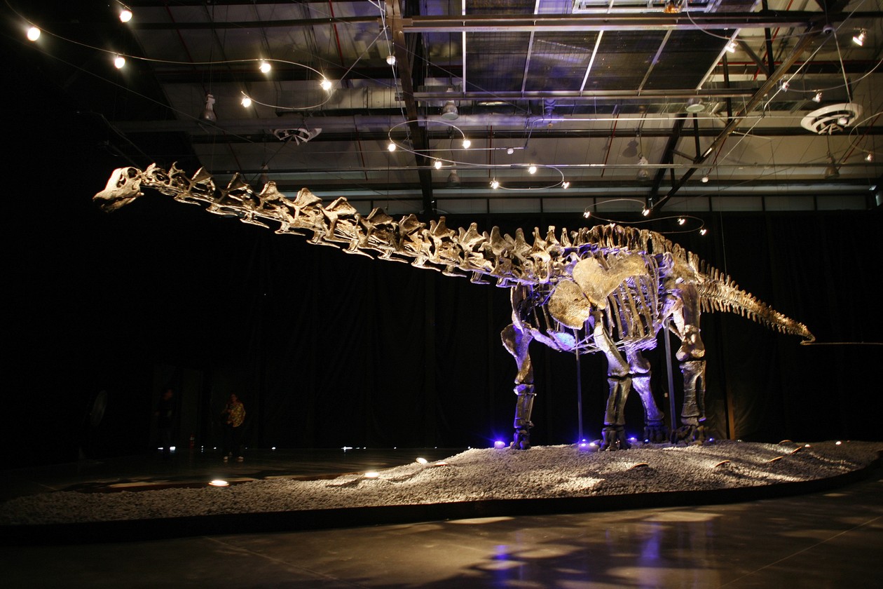 What It's Like to Dig for Dinosaur Bones - The Atlantic