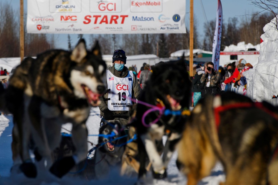 Scenes From the 2021 Iditarod Trail Sled Dog Race - The Atlantic