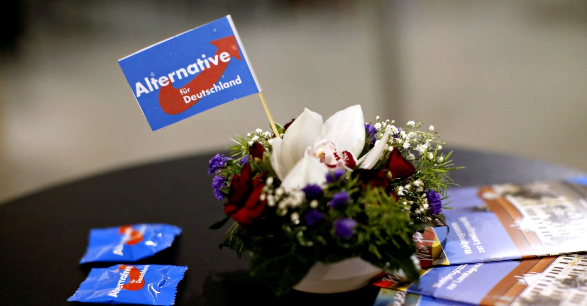 Germany's AfD Party and Its Anti-Islam Platform - The Atlantic