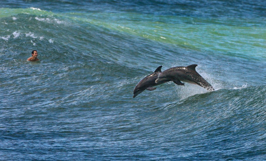 In the Surf - The Atlantic