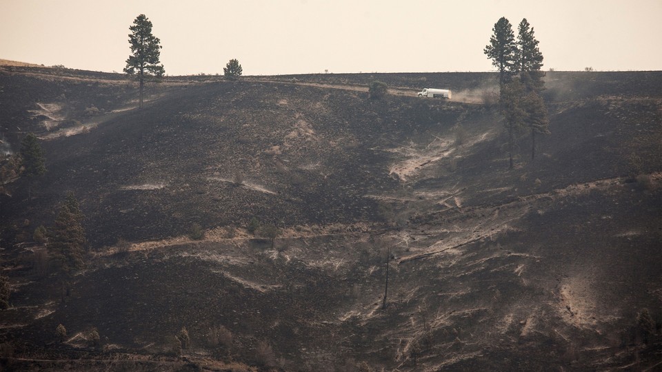 Earthen Rivers Are Flowing Through the West’s Scorched Forests - The ...