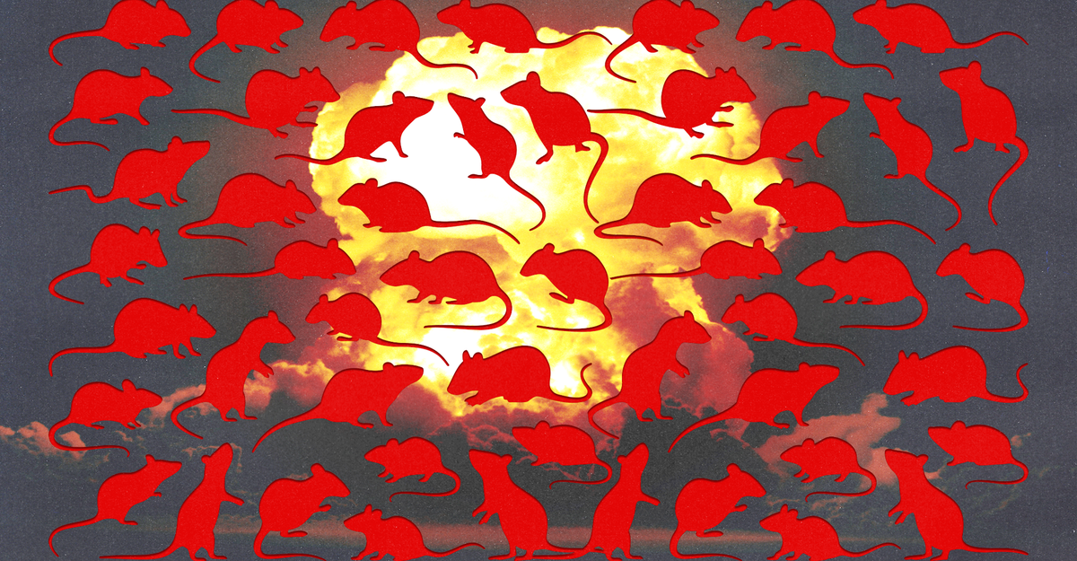 Ratpocalypse Now in New York City - The Atlantic