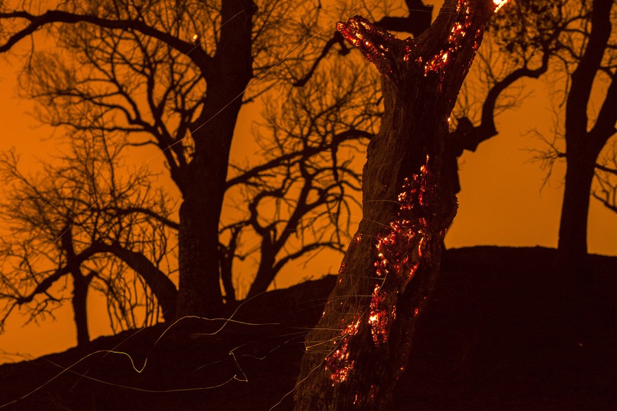The Terrible Beauty of Californian Wildfires, as Seen by David McNew ...