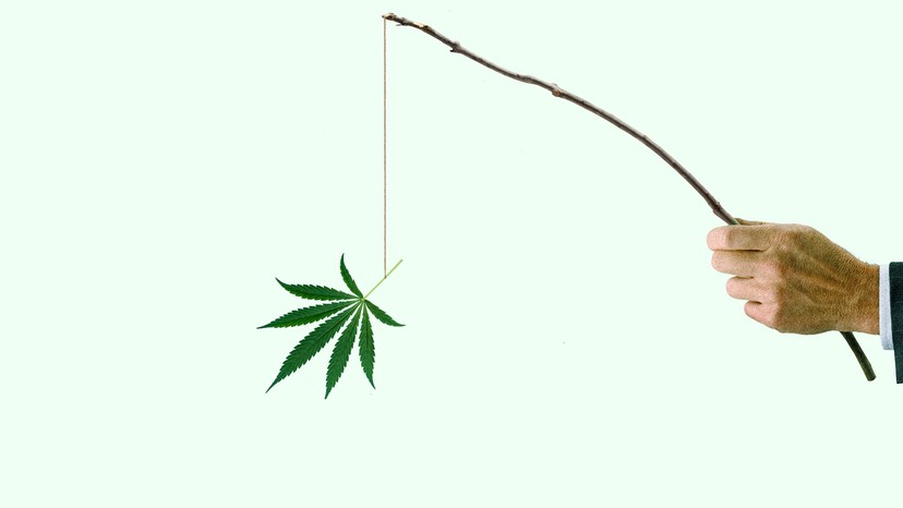 The Risk of Trump's Marijuana Order - The Atlantic