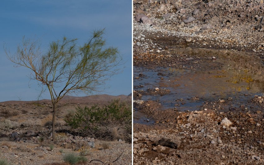 The Fight Over California’s Ancient Water - The Atlantic