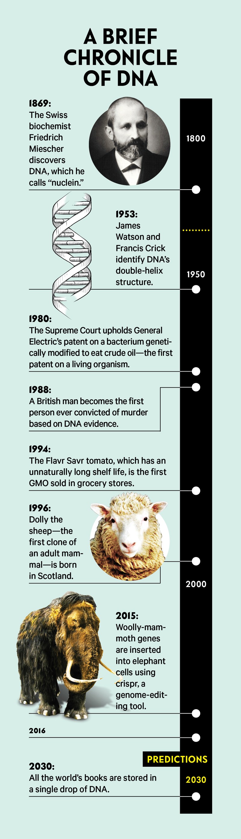 The Future of DNA - The Atlantic