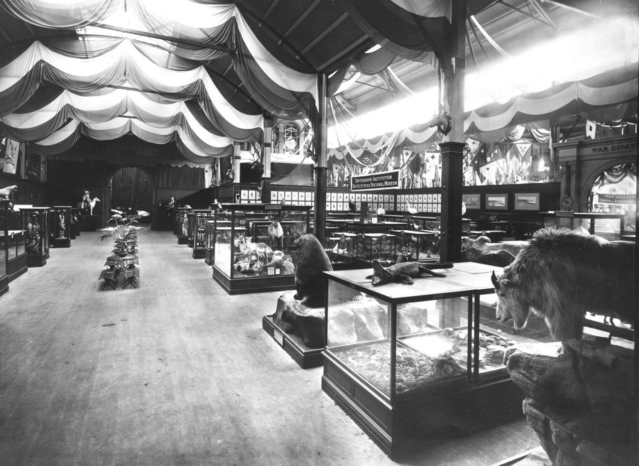 Photos of the 1893 Chicago World’s Fair - The Atlantic