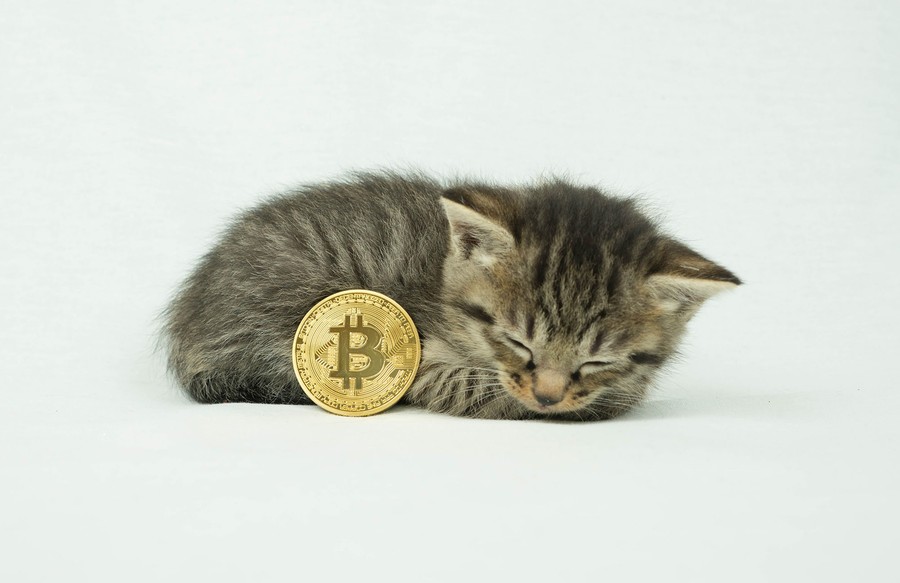 Bitcoin: A Stock Photo Cryptocurrency Primer - The Atlantic