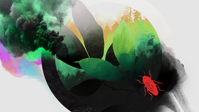 Including Environmental Changes in the Neutral Theory of Nature - The ...