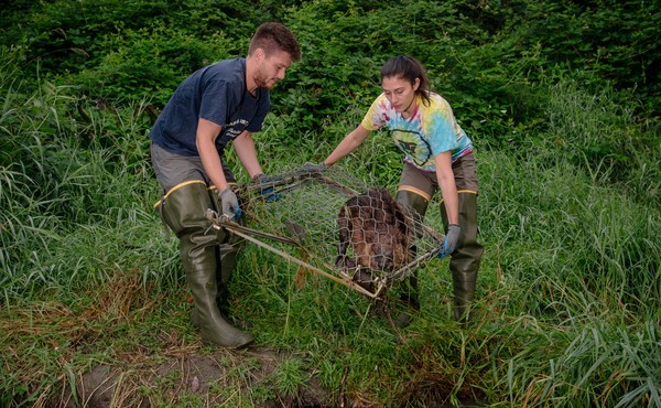 All Stories by BioGraphic - The Atlantic