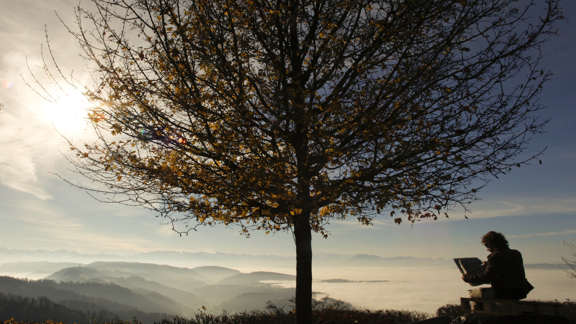 Reading a Poem: 20 Strategies - The Atlantic