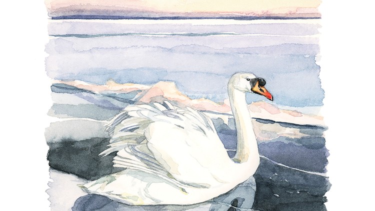 David Lehman: ‘Half-Life’ - The Atlantic