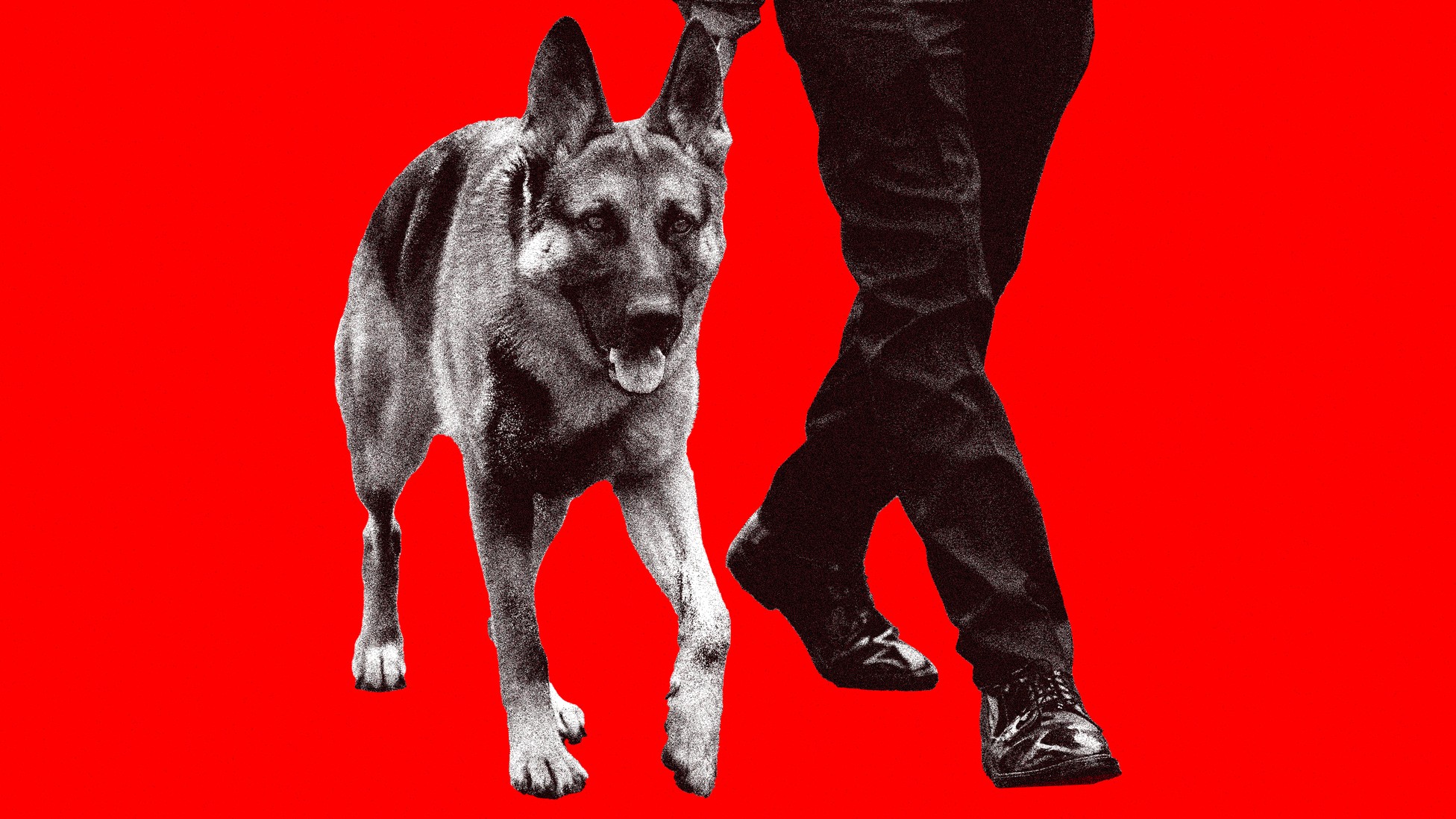 Why Commander Is No Longer His Master’s Dog - The Atlantic