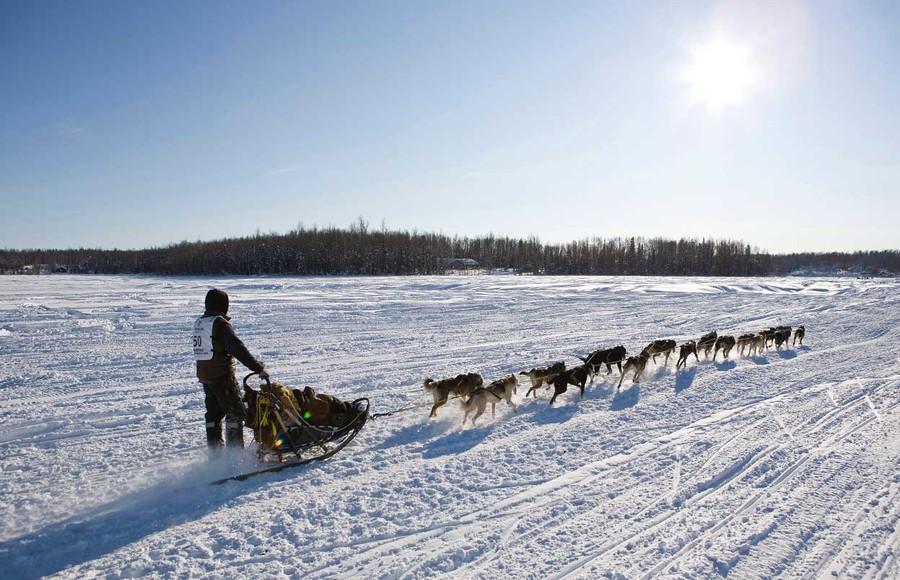 The 2012 Iditarod Trail Sled Dog Race - The Atlantic