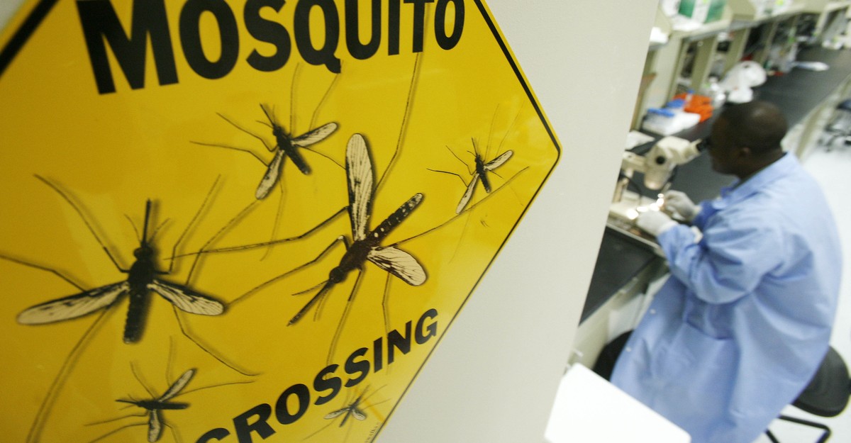 Two Ways of Making Malaria-Proof Mosquitoes - The Atlantic