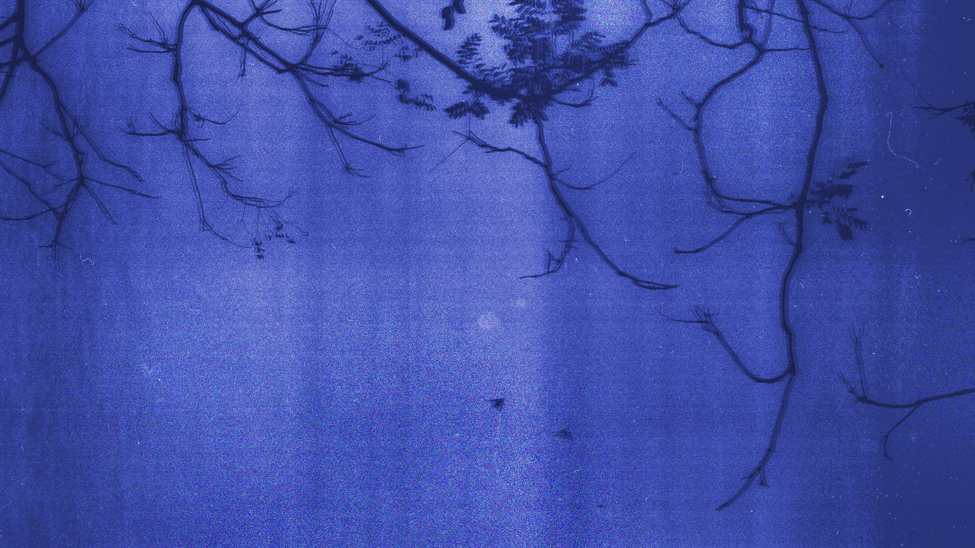 Victoria Chang: ‘On a Clear Day’ - The Atlantic