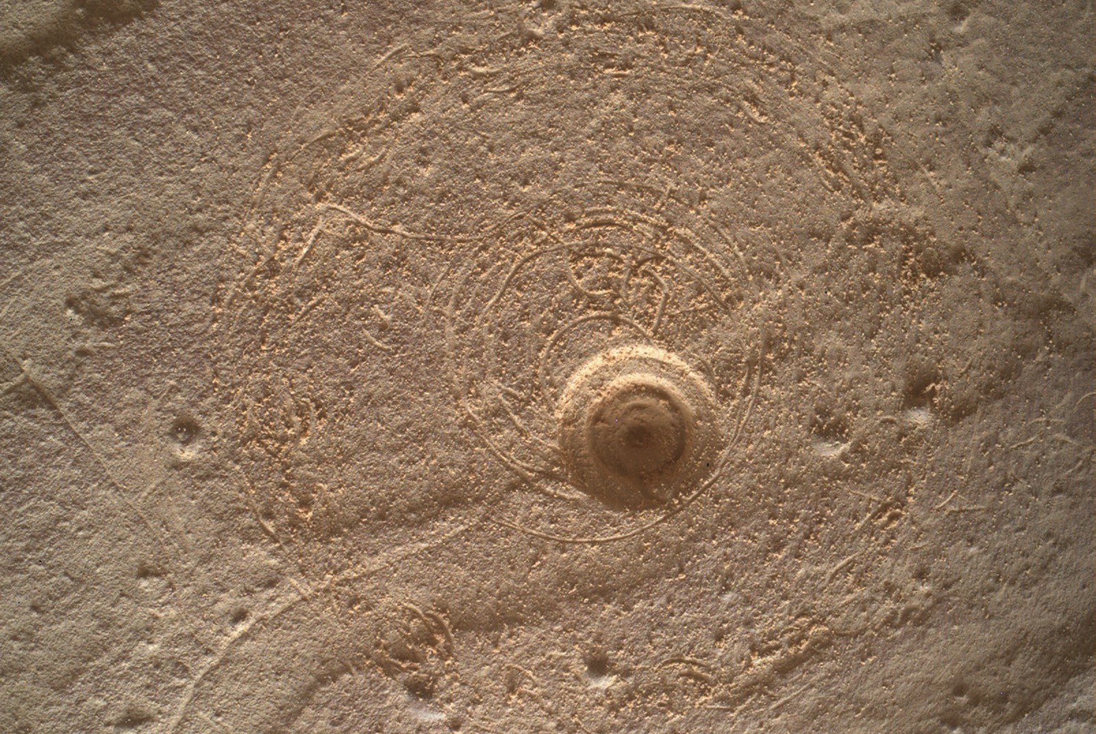 Photos: 13 Years on Mars - The Atlantic