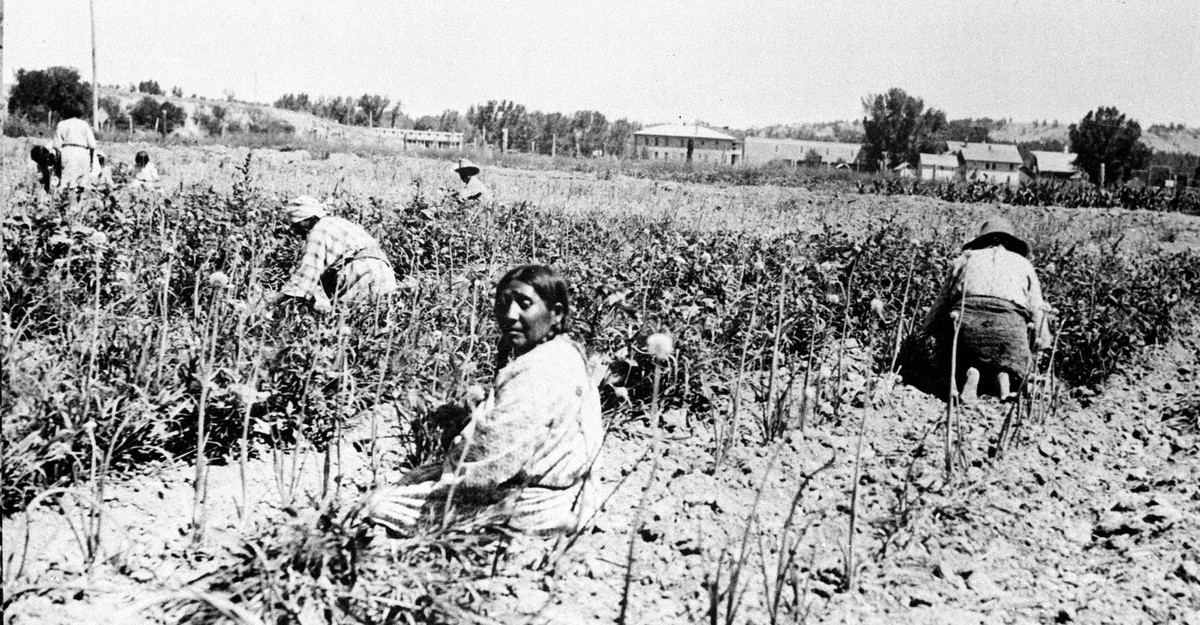 The Segregation of Reservations - The Atlantic