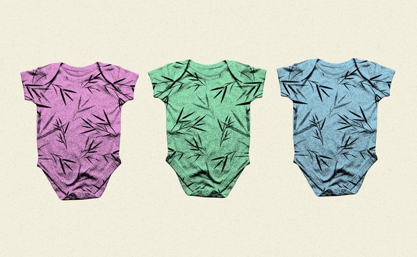 All Stories by Sarah Zhang - The Atlantic