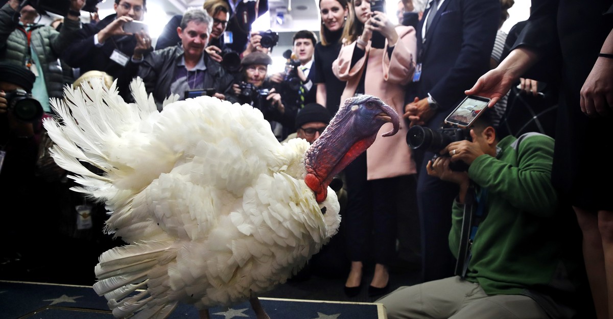 The Atlantic Politics & Policy Daily: You're Pardoned - The Atlantic