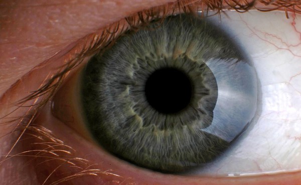 All Stories by Helen Ouyang - The Atlantic