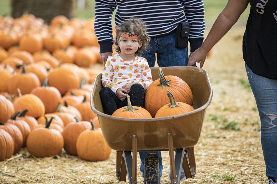 Fall Is in the Air: Images of the Season - The Atlantic
