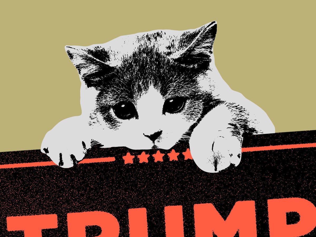 Trump Cat Memes
