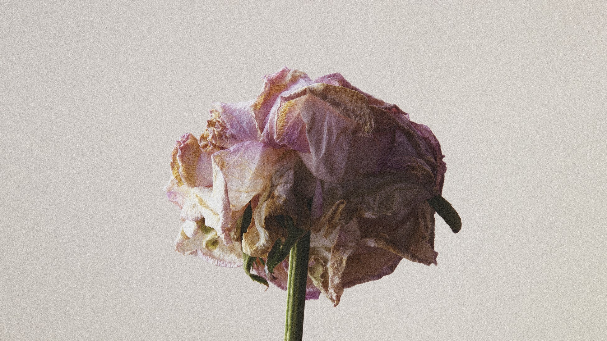 Gabriel García Márquez: Death Constant Beyond Love - The Atlantic