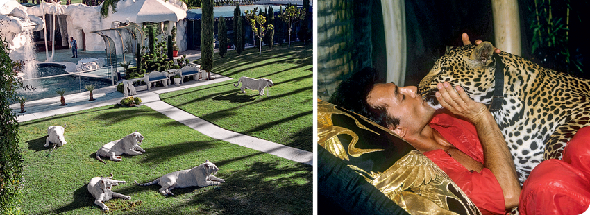 The Improbable Rise and Savage Fall of Siegfried & Roy - The Atlantic