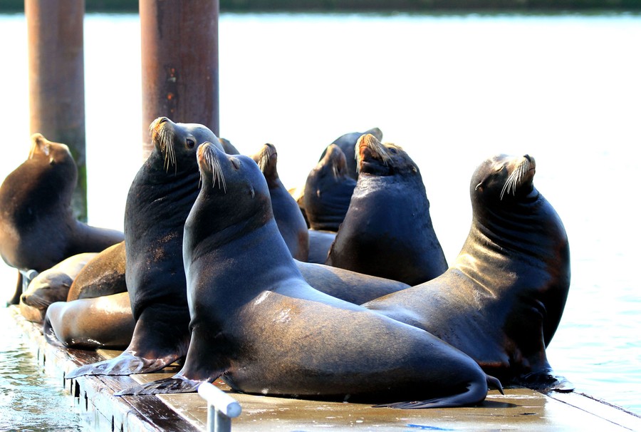 Oregon: Images of the Beaver State - The Atlantic