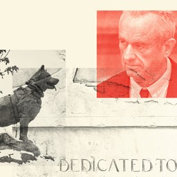 Balto, RFK Jr., and the Value of Vaccines - The Atlantic