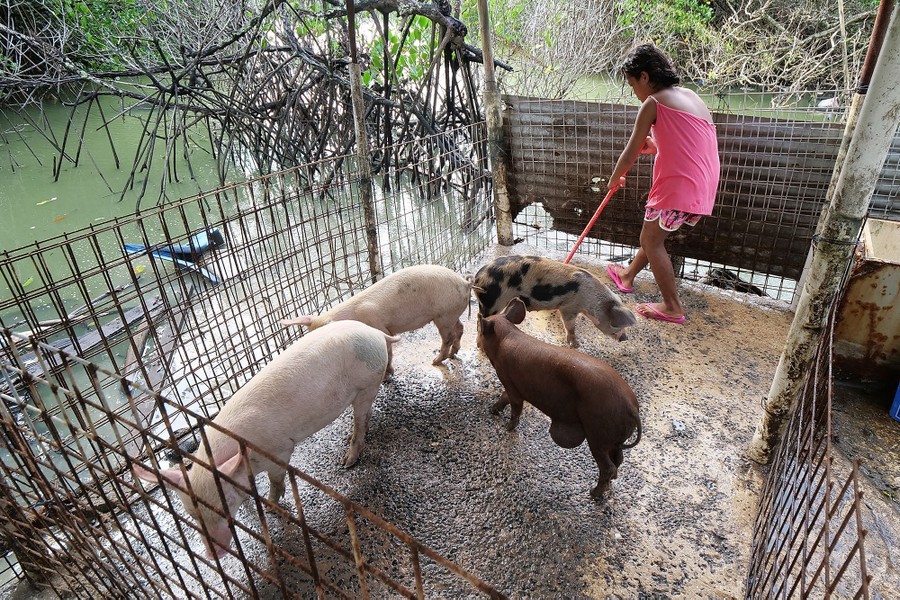 A Visit to Tuvalu, Surrounded by the Rising Pacific - The Atlantic