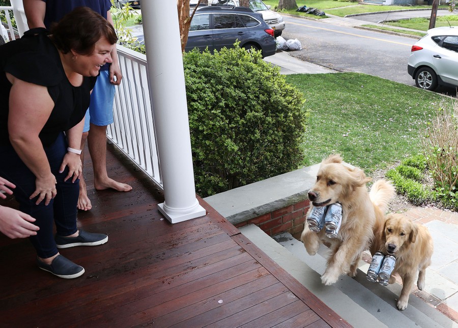 Photos: Animals During the Pandemic - The Atlantic