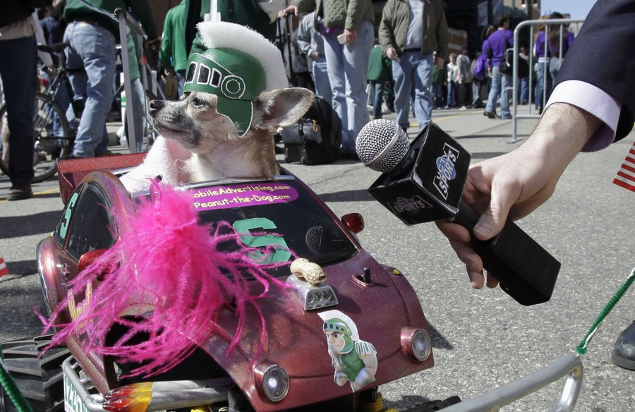 Sound Bites: Dogs on the Microphone - The Atlantic