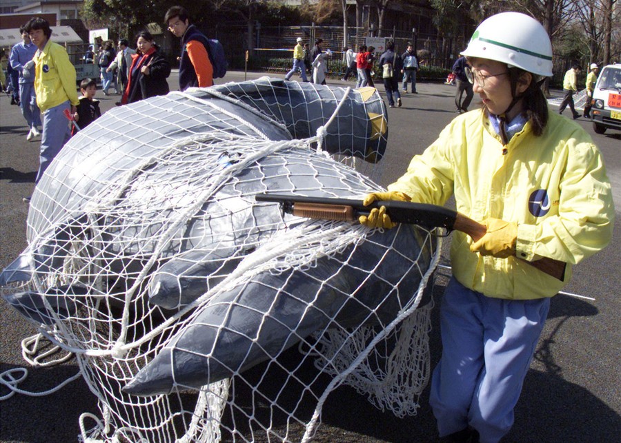 Zoo Security Drills: When Animals Escape - The Atlantic