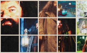 All Stories by Shirley Li - The Atlantic