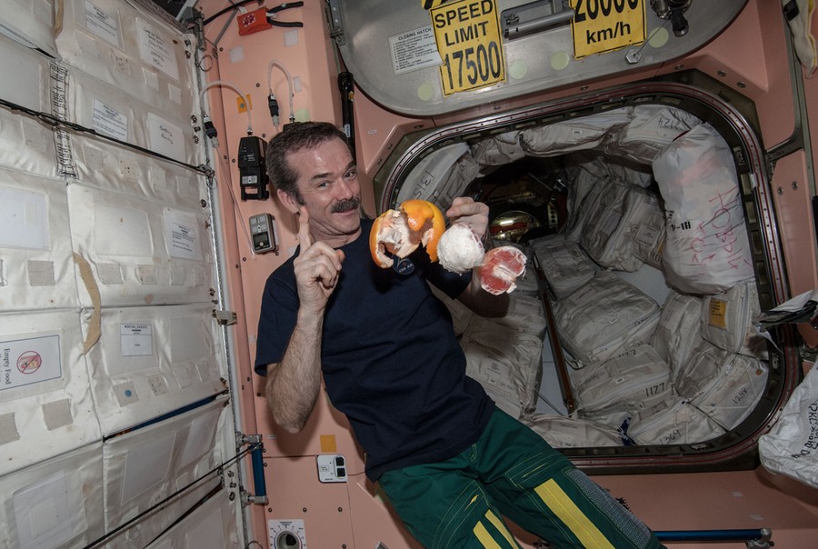 Welcome Back to Earth, Commander Hadfield - The Atlantic