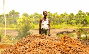 All Stories by Lisa M. Hamilton - The Atlantic