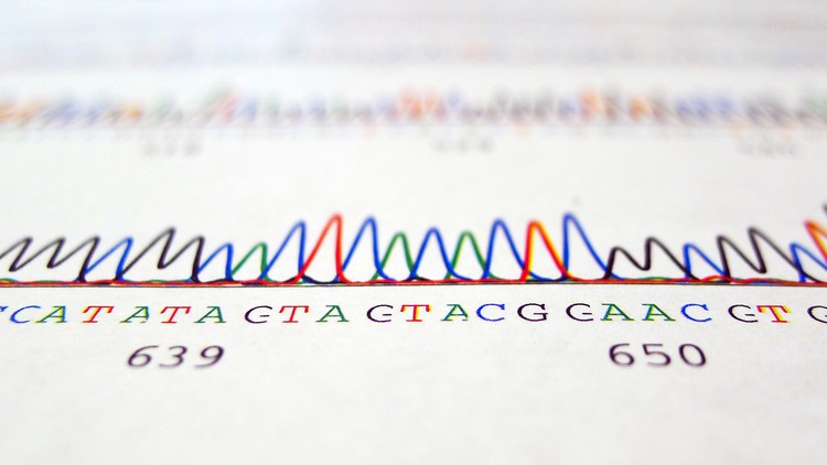 A Man Says His DNA Test Proves He's Black. He's Suing. - The Atlantic