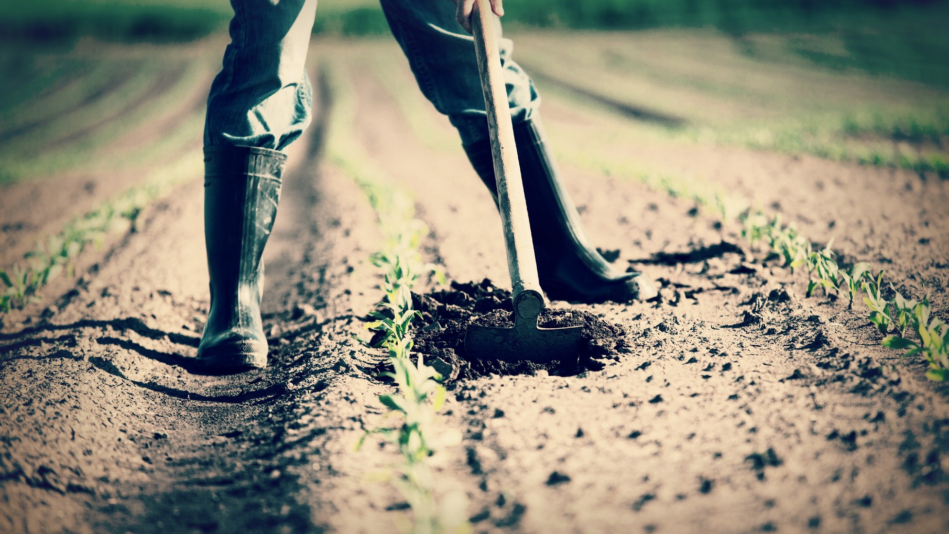 As Farmers Fade, Who Will Care For the American Landscape? - The Atlantic