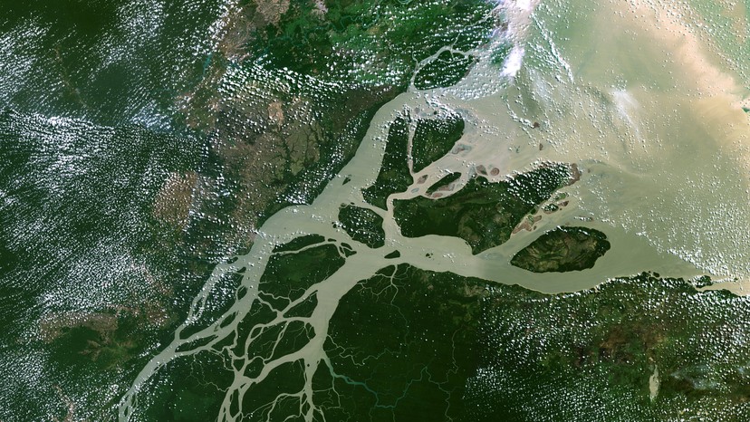 Scientists Have Discovered a 600-Mile Coral Reef - The Atlantic